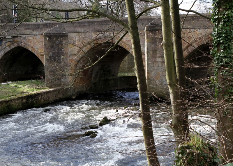 River Derwent (Image #1 of 25)